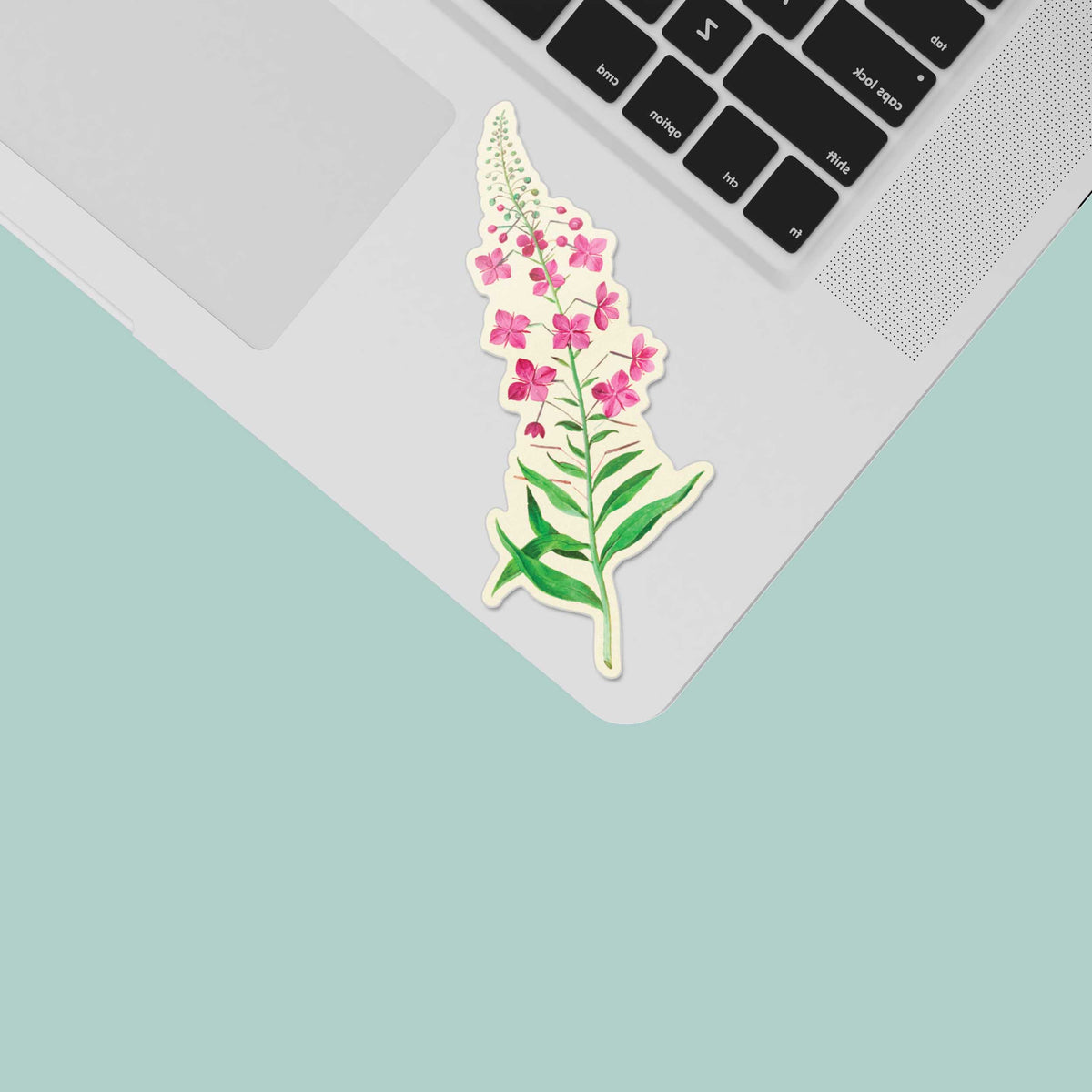 Alaska Fireweed Flower Sticker - Cute Nature Decal for Spring ...