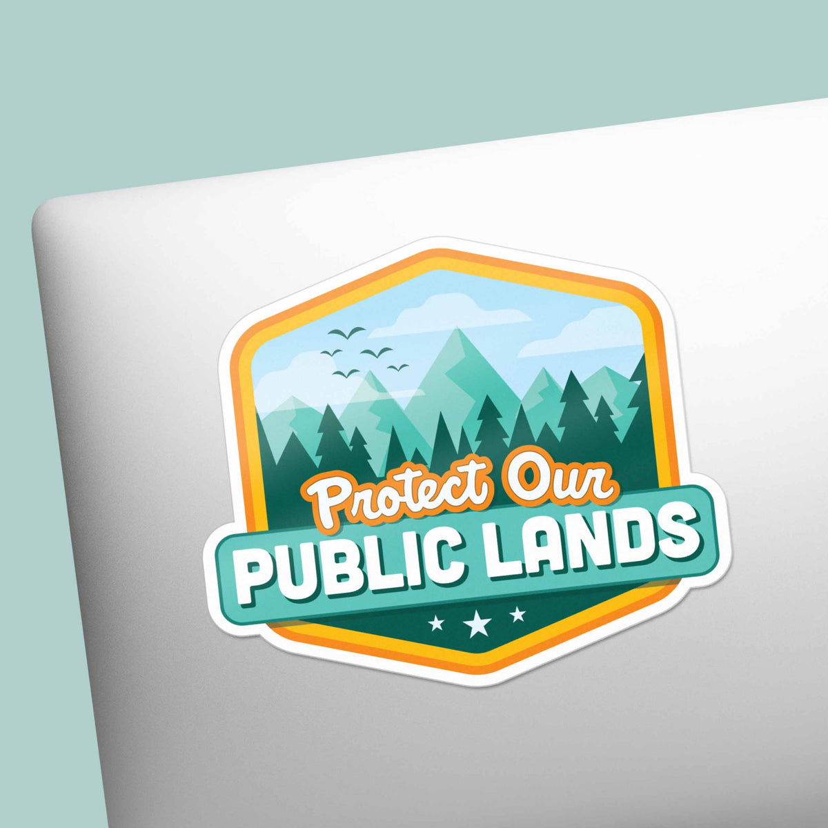 Protect Our Public Lands Sticker, Nature Conservation Sticker, Leave No ...