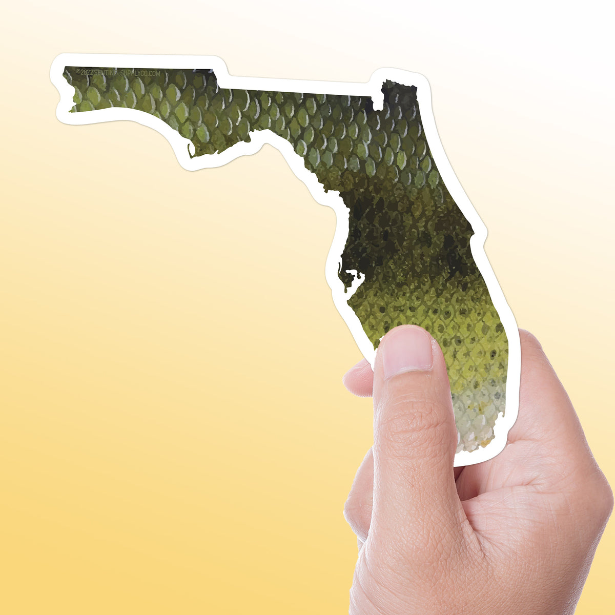 Largemouth Bass Florida Bumper Sticker for Fishing Lovers – Sentinel Supply