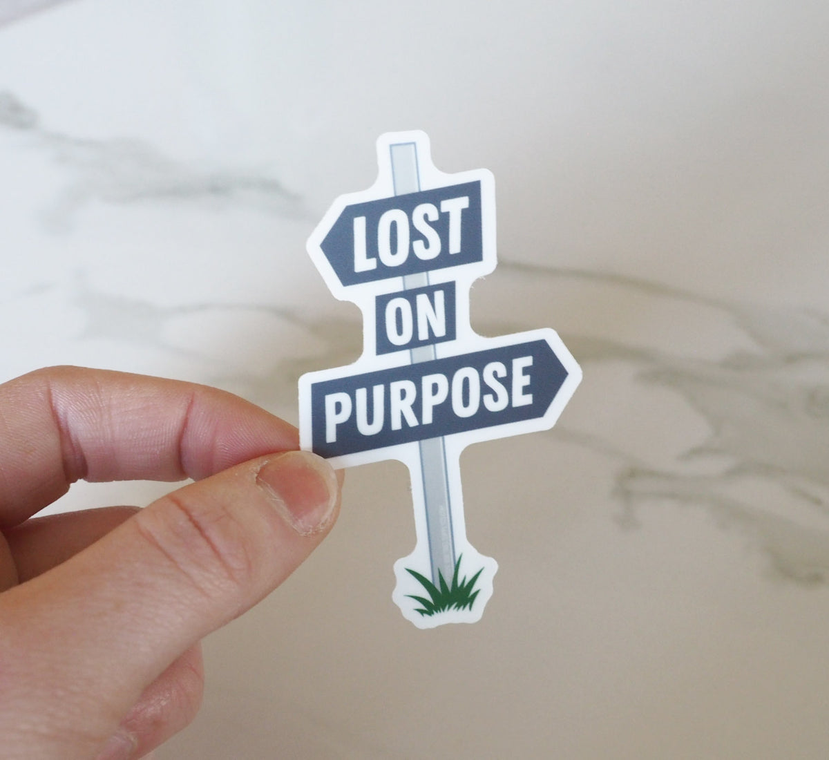 Lost on Purpose Road Sign Sticker for Hydroflask, Laptop – Sentinel Supply