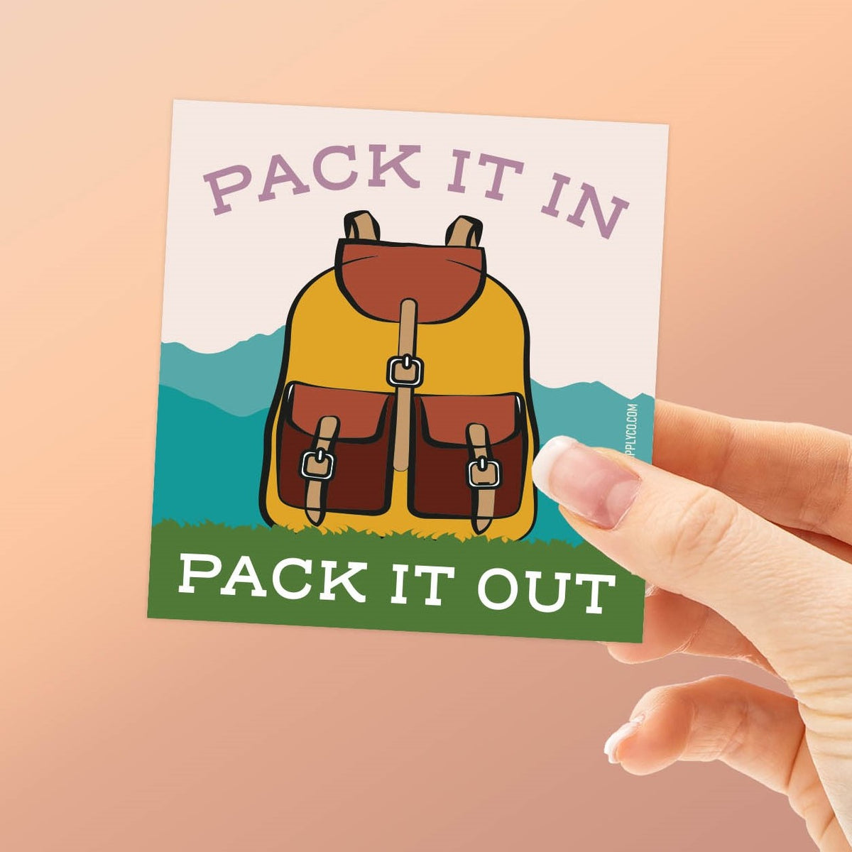 Pack It In Pack It Out Backpack Retro Hiking Sticker for Hydroflask ...