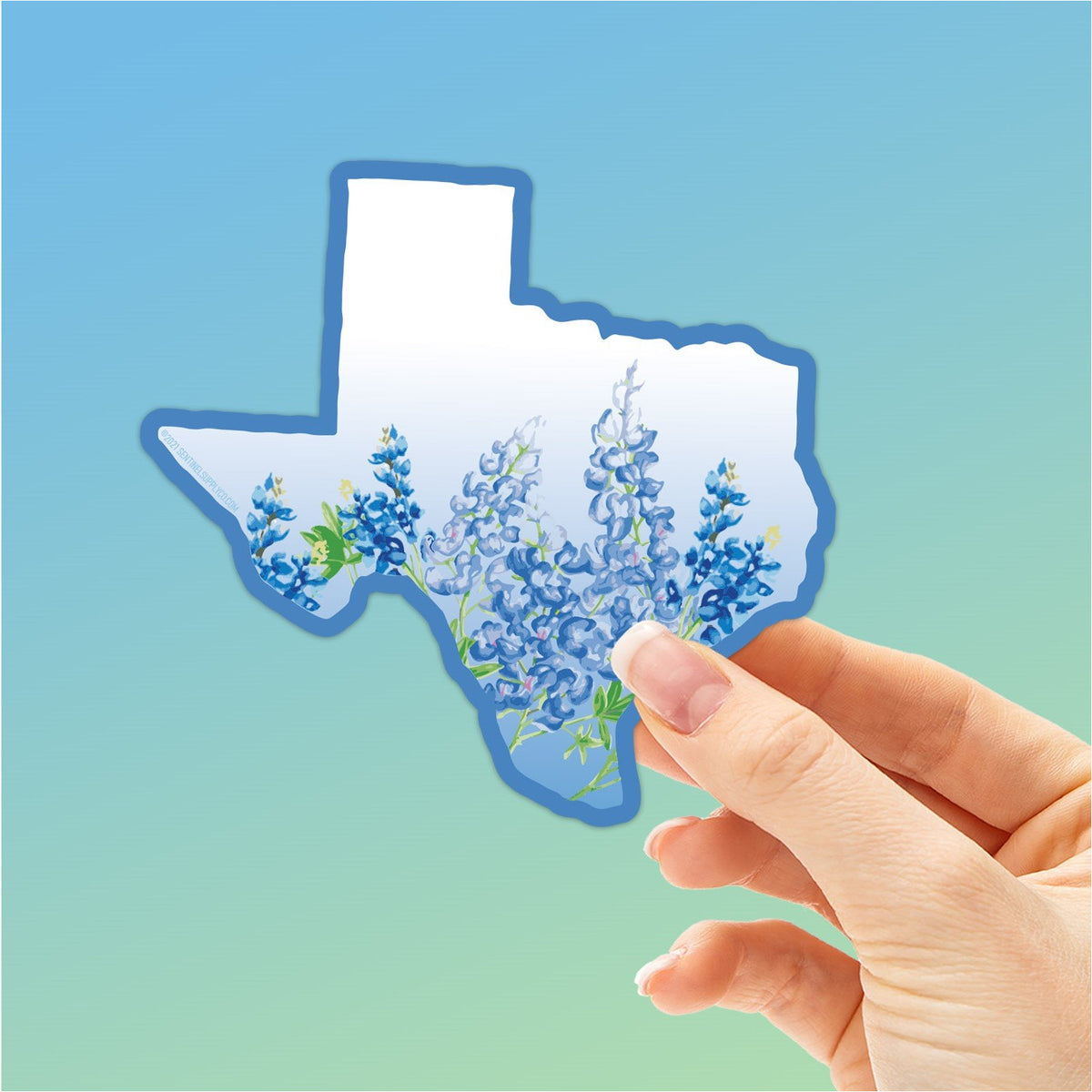 Cute Texas Bumper Sticker, TX Bluebonnets Decal – Sentinel Supply